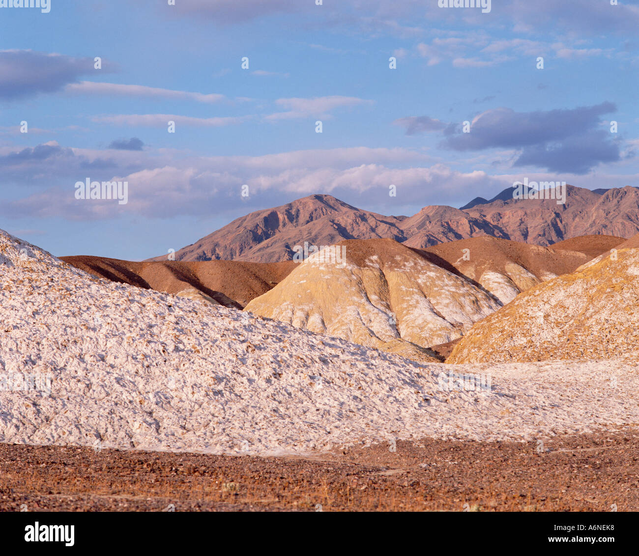 Tertiary colours hi-res stock photography and images - Alamy