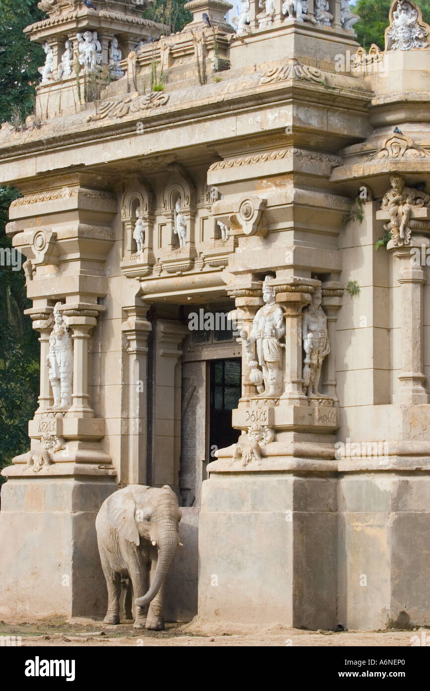 Elephant and its housing in Buenos Aires Zoo A Stock Photo - Alamy
