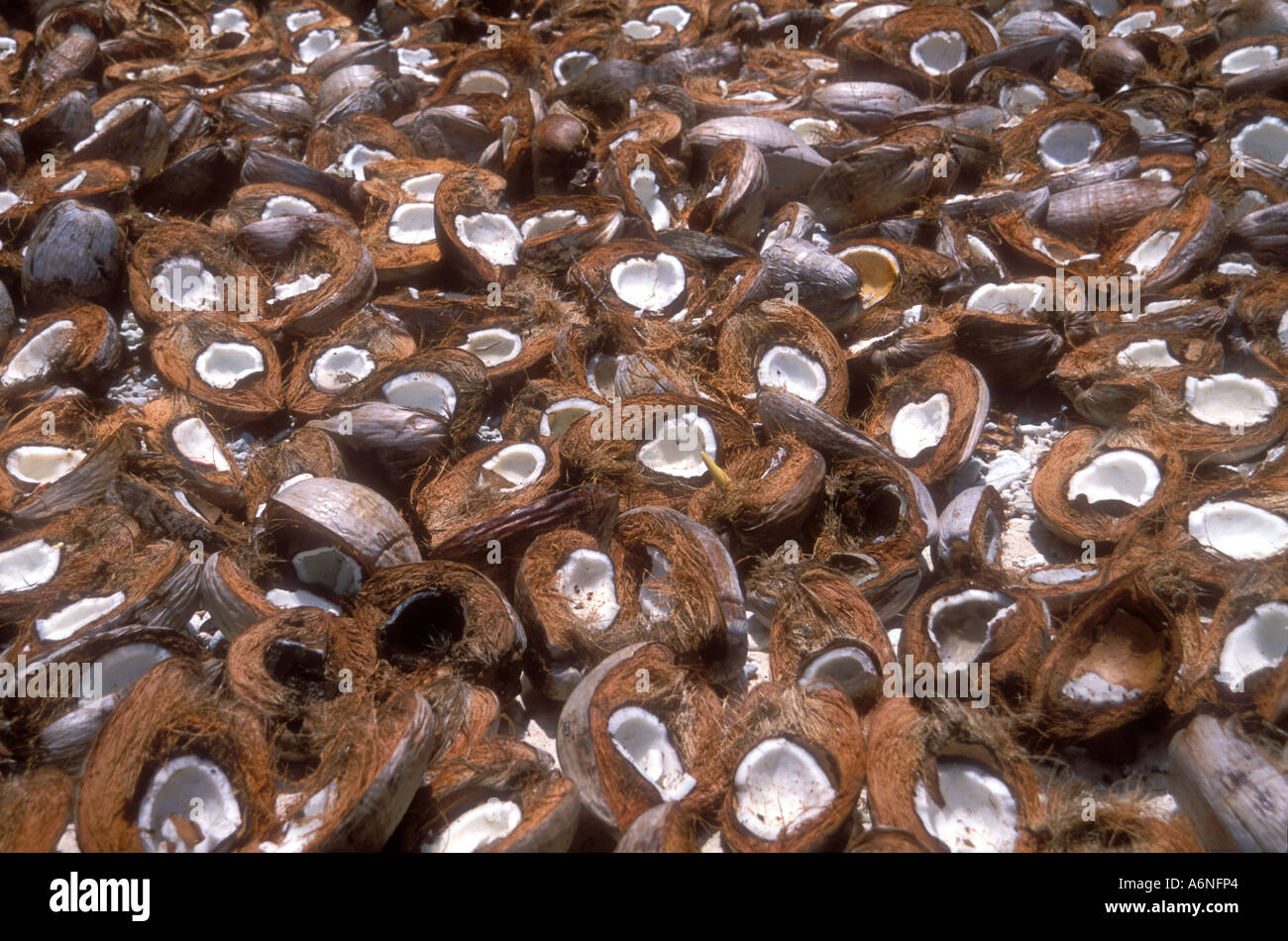 Drying copra hi-res stock photography and images - Alamy