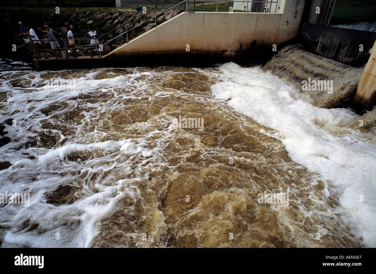Polluted runoff flowing into South Florida estuary after the 2004 ...