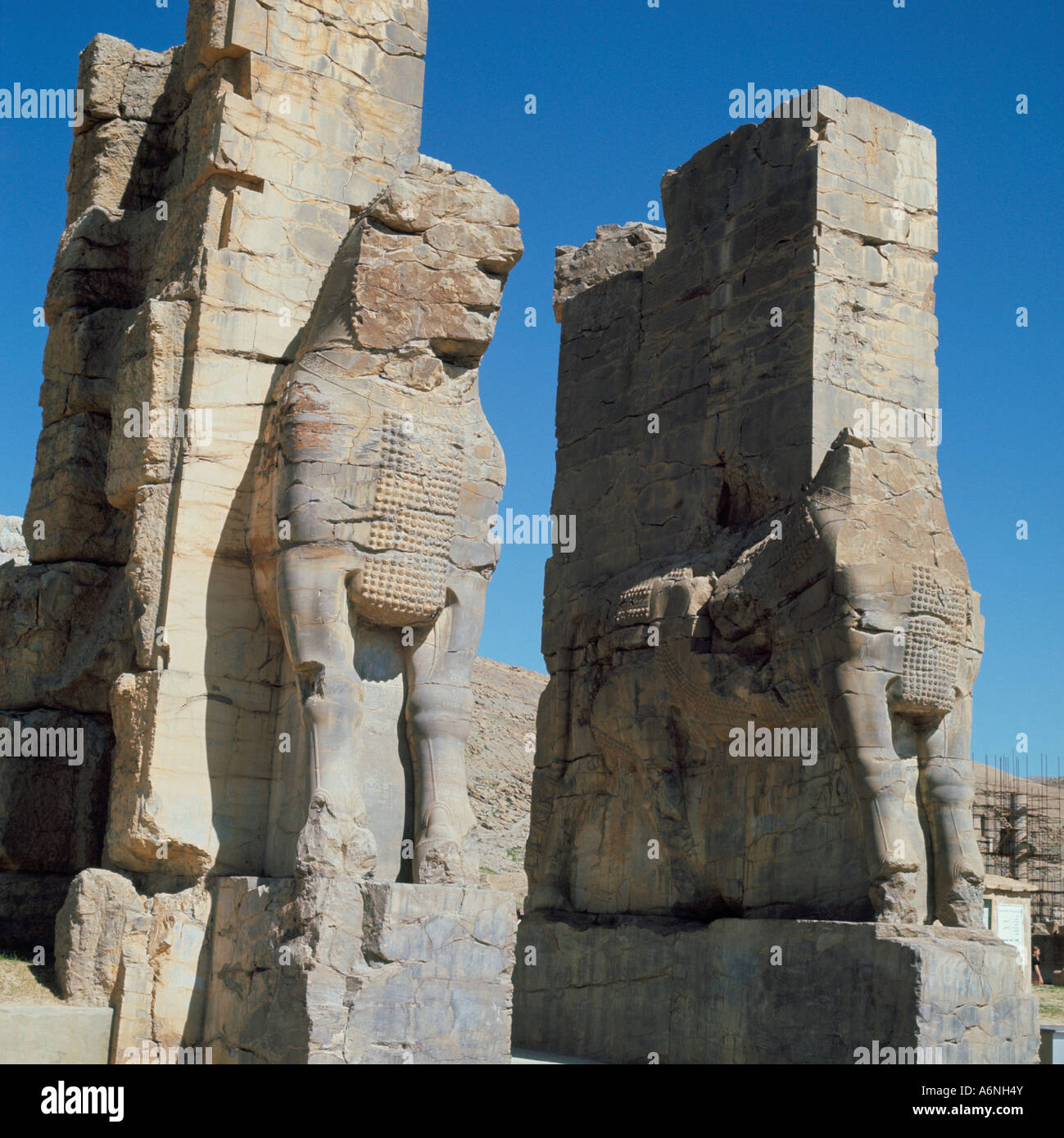 Persepolis UNESCO World Heritage Site Iran Middle East Stock Photo - Alamy