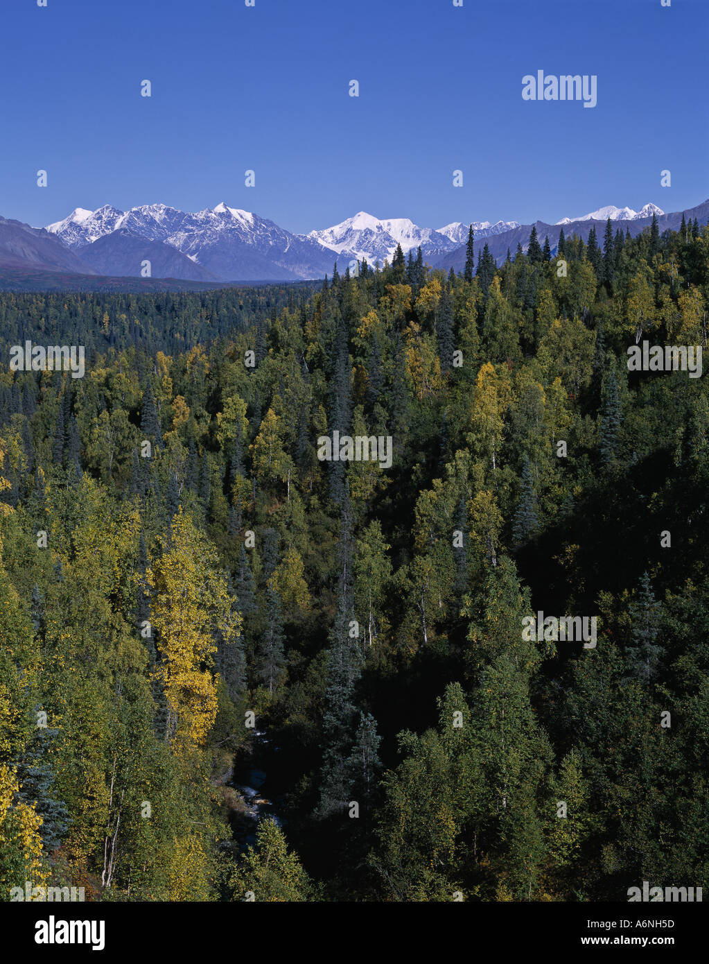 Mt Eldridge and Alaka Mountain Range from Little Coal Creek view from ...