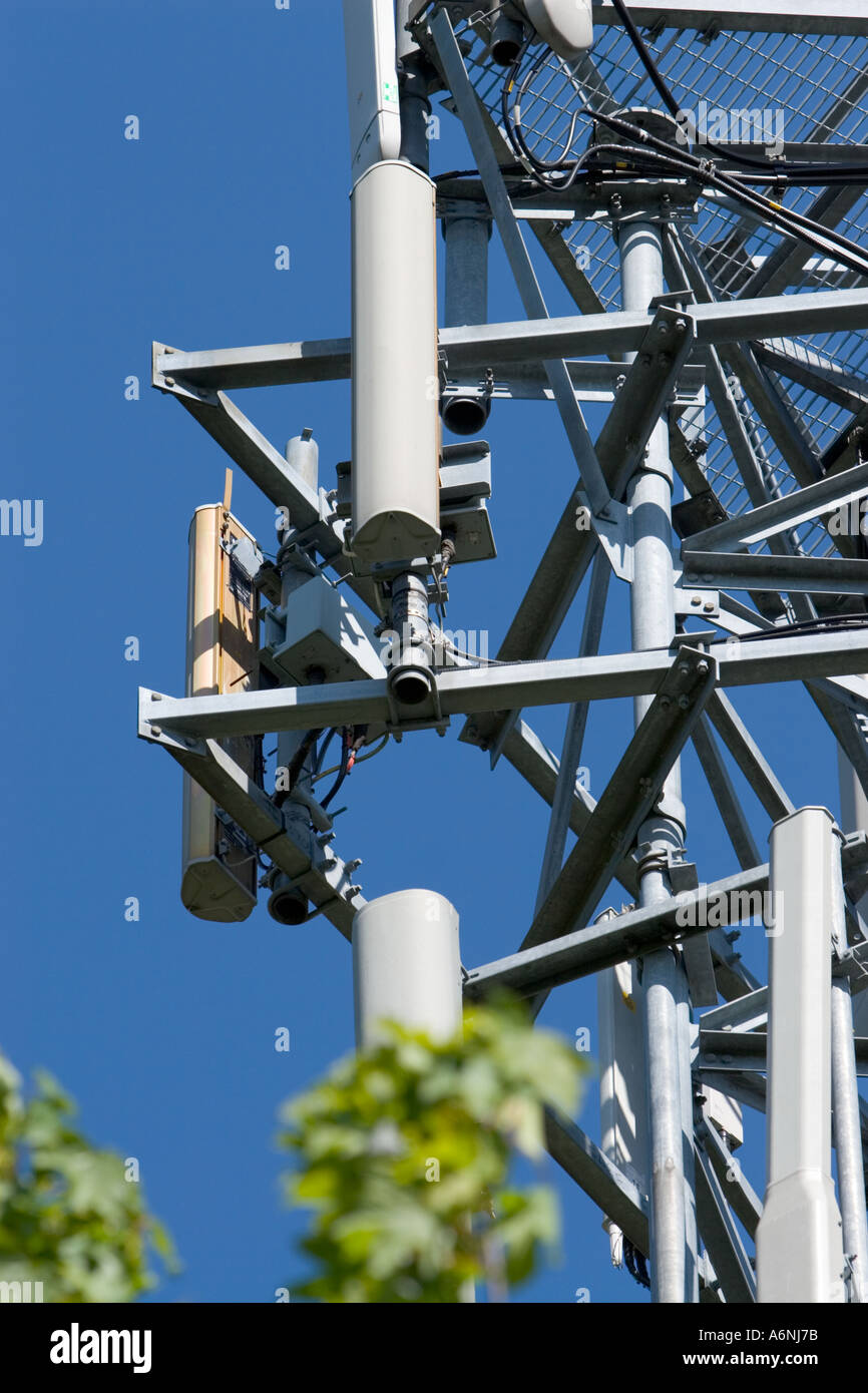 Mobile Phone base station sector antenna array close up part of a ...