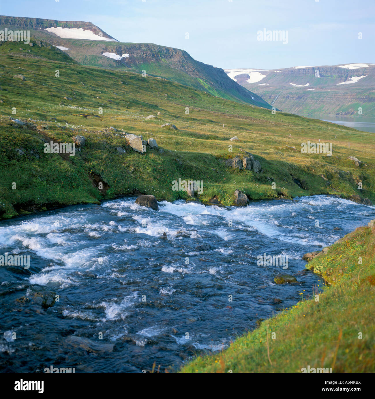 Hesteyri River Hornstrandir north west Iceland Polar Regions Stock ...