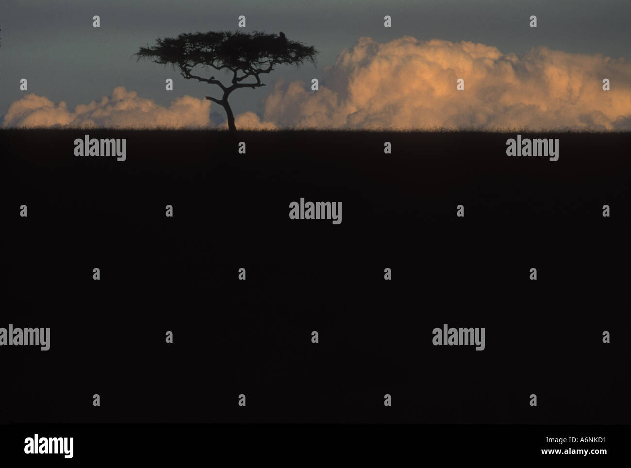 Clearing rainstorm hi-res stock photography and images - Alamy