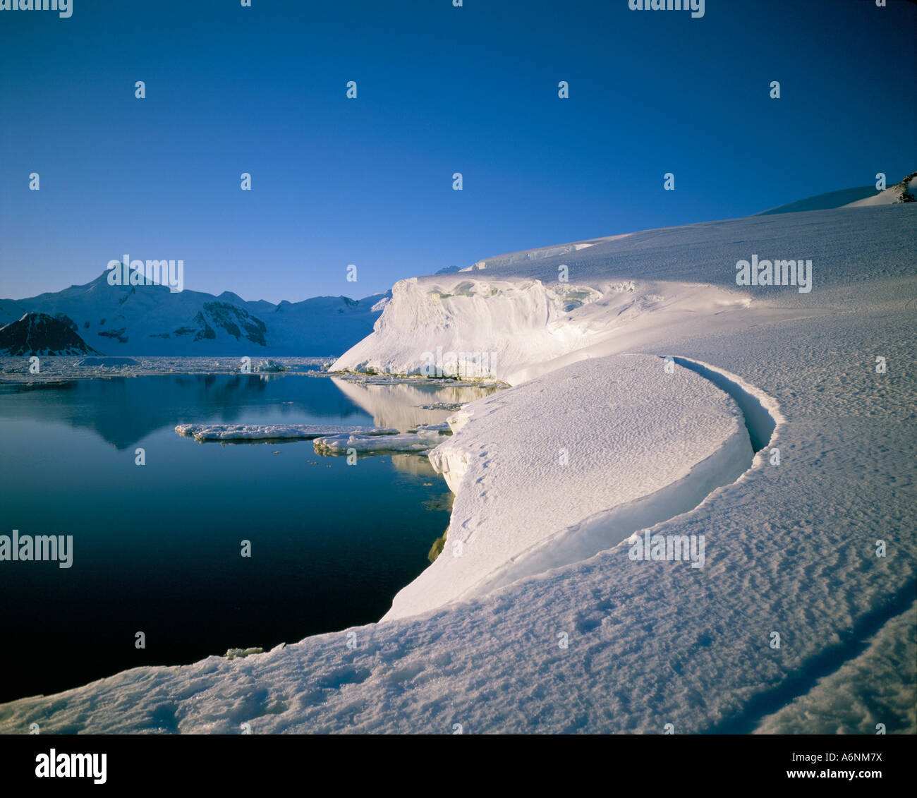 Adelaide island antarctica hi-res stock photography and images - Alamy