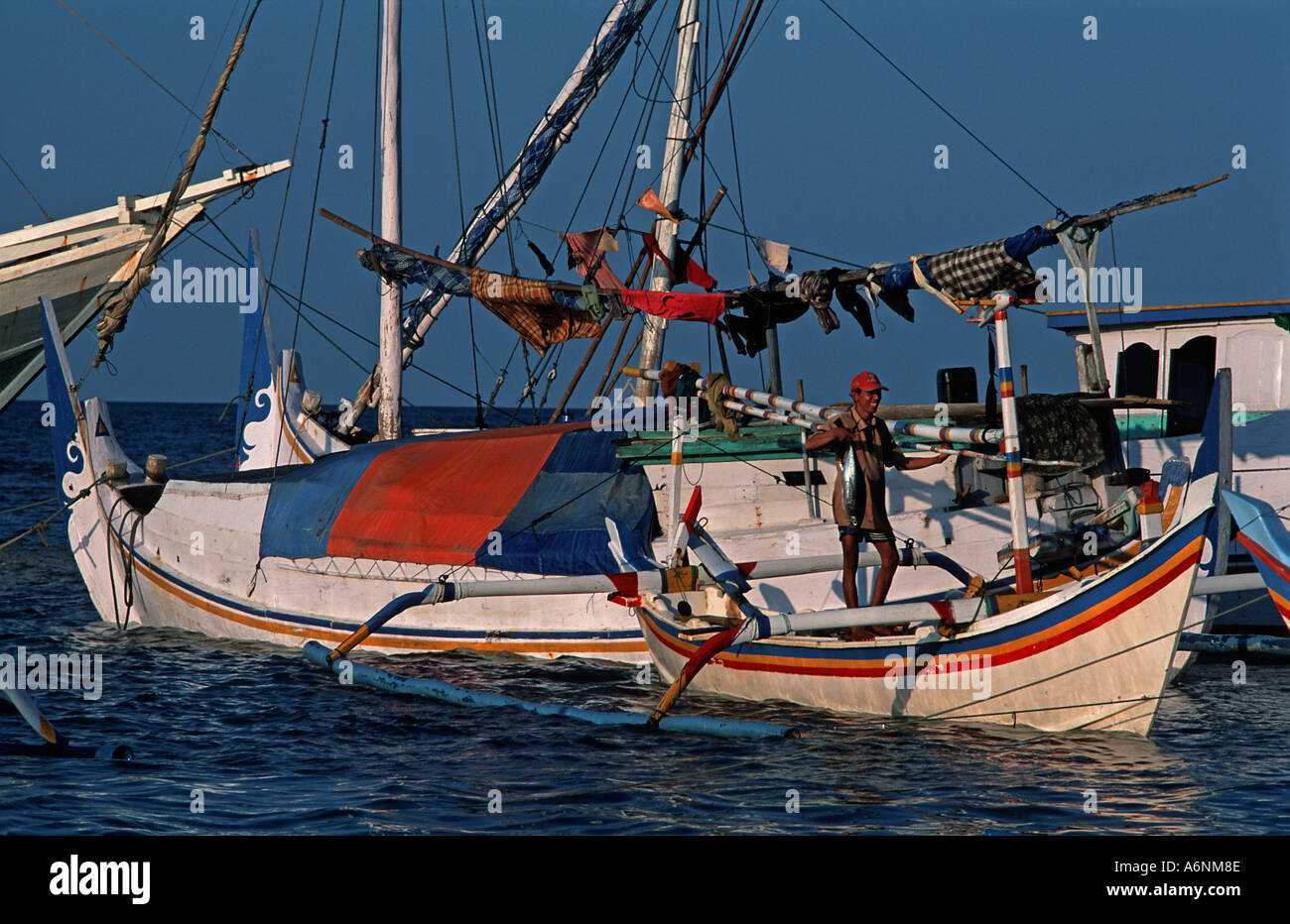 Balinese fisherman on his outrigger canoe with fresh catch of tuna ...