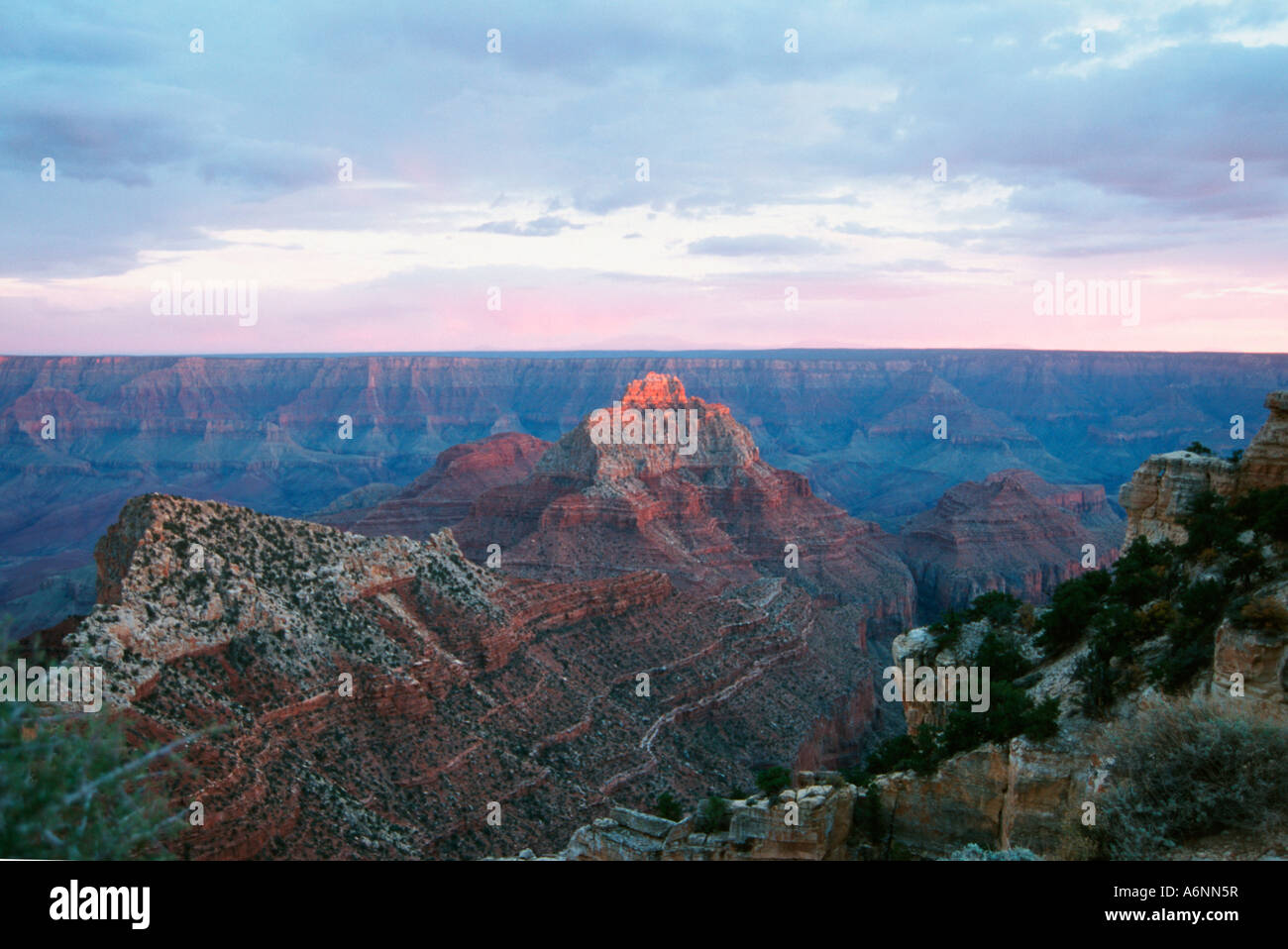 Grand Canyon from North Rim. Arizona, USA Stock Photo - Alamy