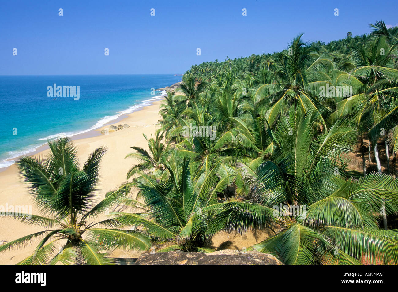 Kerala landscape coconut tree high angle view hi-res stock photography ...