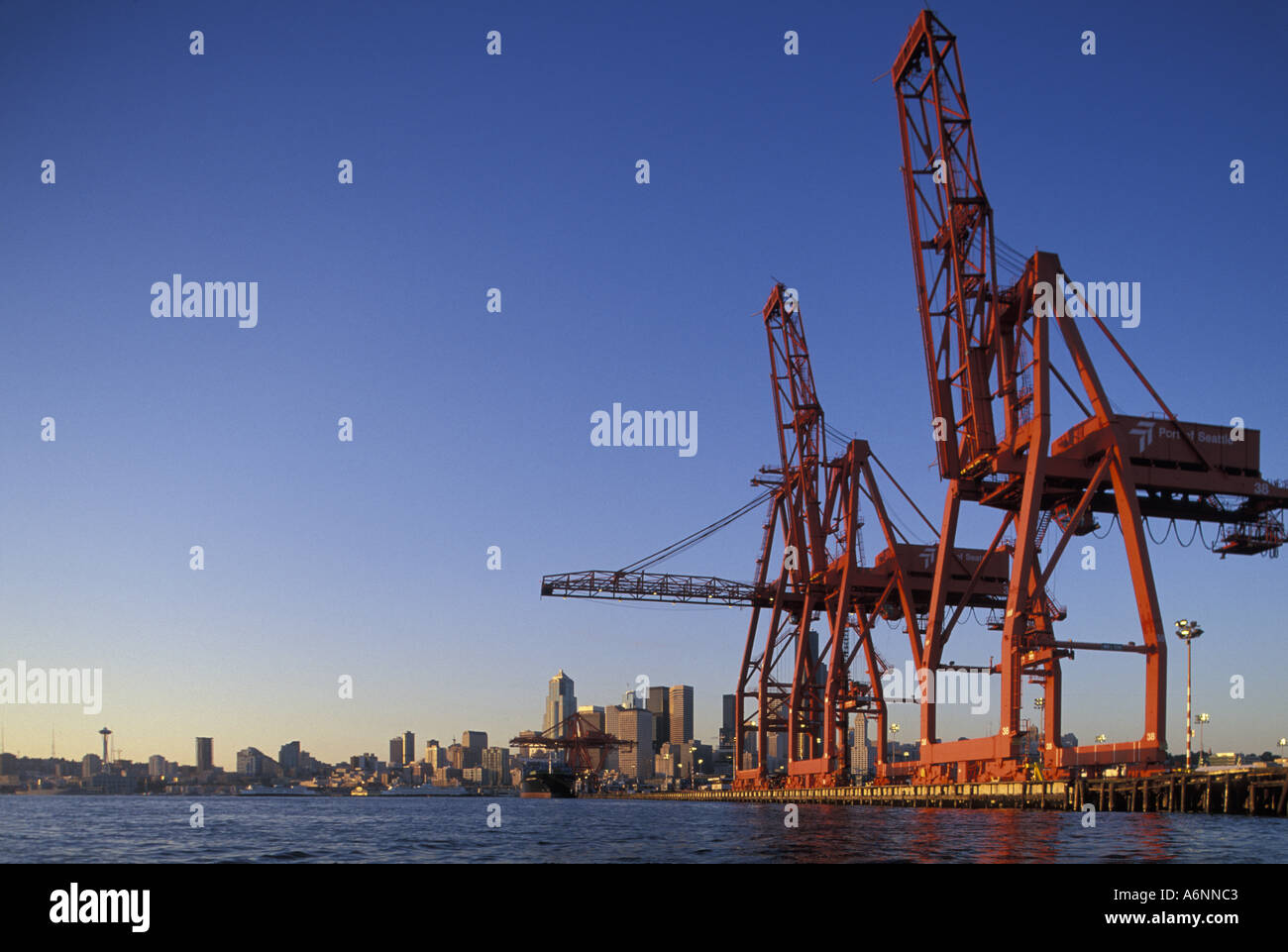 USA Washington Seattle Orange cargo cranes at shipping terminal loom ...