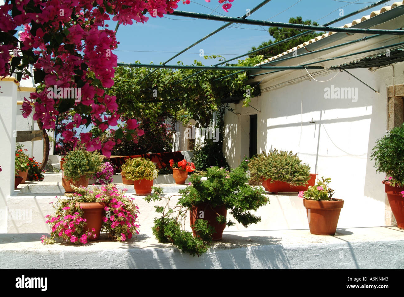 Flowers at Paleokastritsa Monastery, Corfu Stock Photo - Alamy
