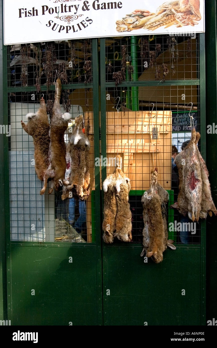 Dead rabbits hi-res stock photography and images - Alamy