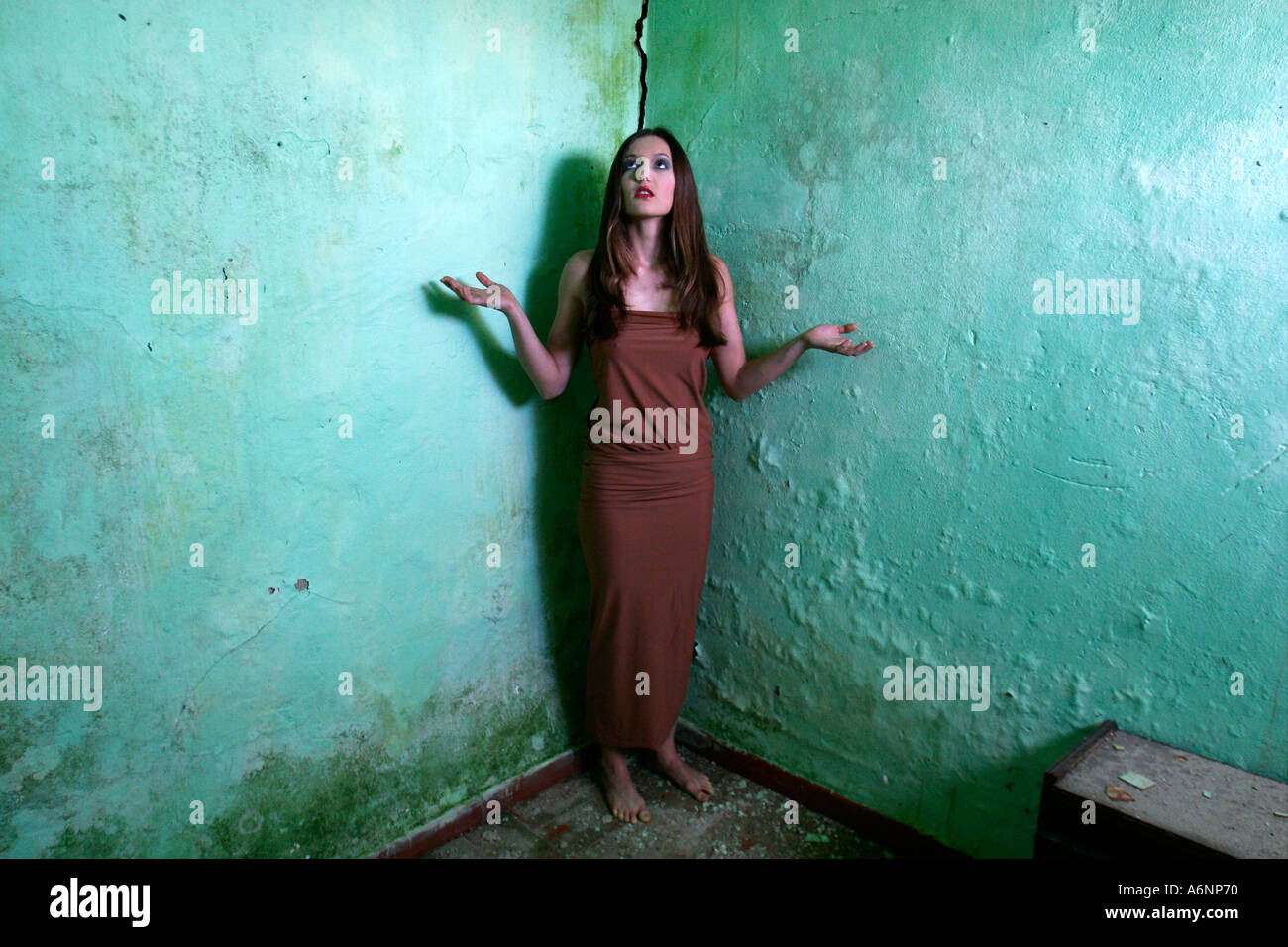 Woman painting a corner room hi-res stock photography and images - Alamy