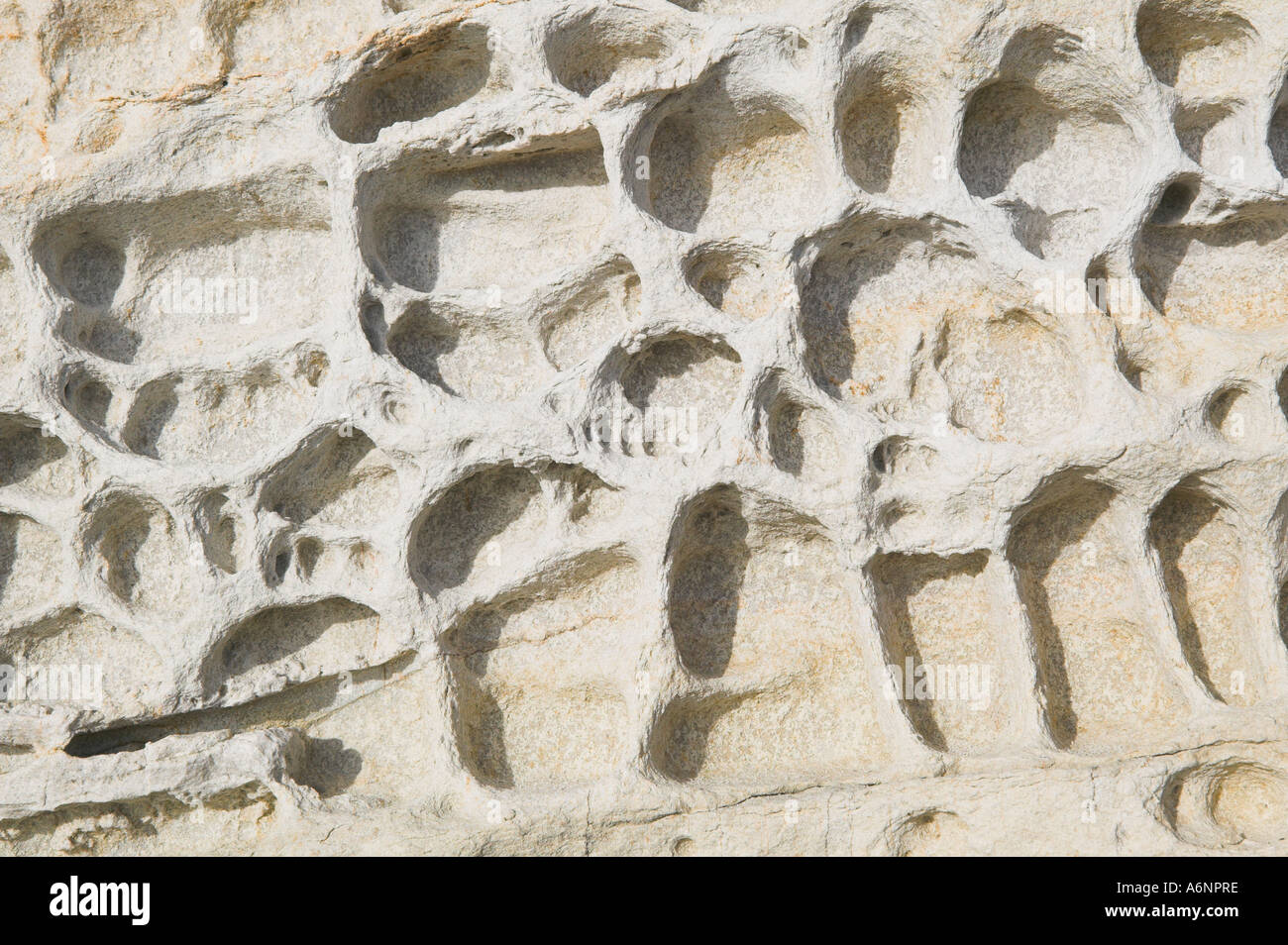 Honeycomb patterns on rock at Elgol, Isle of Skye, Highlands, Scotland ...