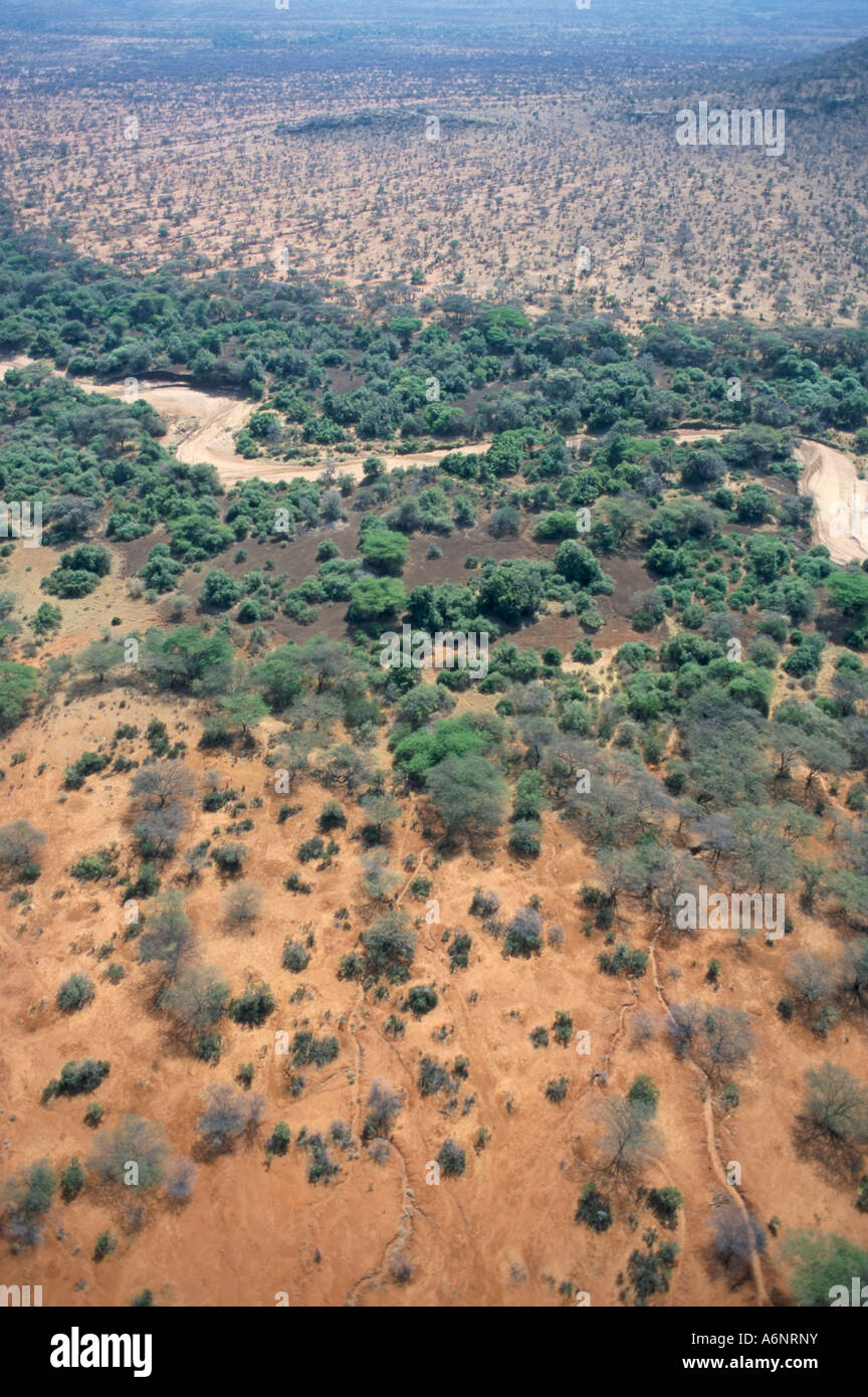 Trees mark a dry riverbed or Lugga which may only flow with water for a ...