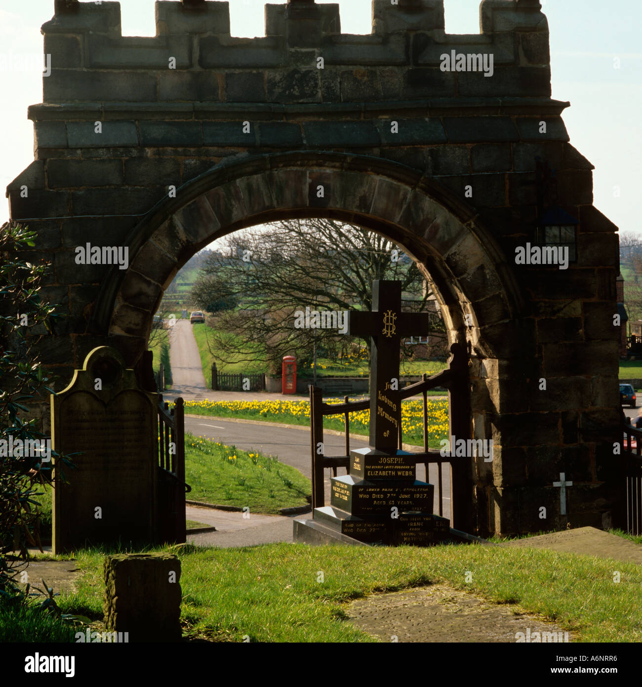 Astbury cheshire daffodils hi-res stock photography and images - Alamy