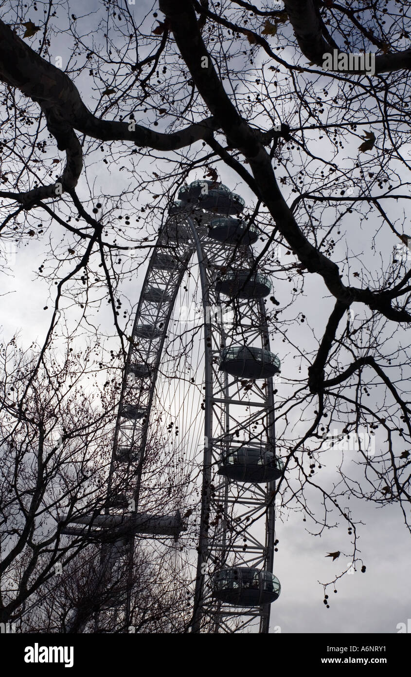 Millenium wheel through tree branches Stock Photo - Alamy