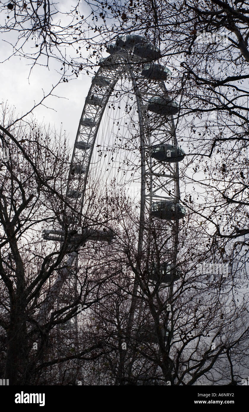 Millennium wheel through tree branches Stock Photo - Alamy