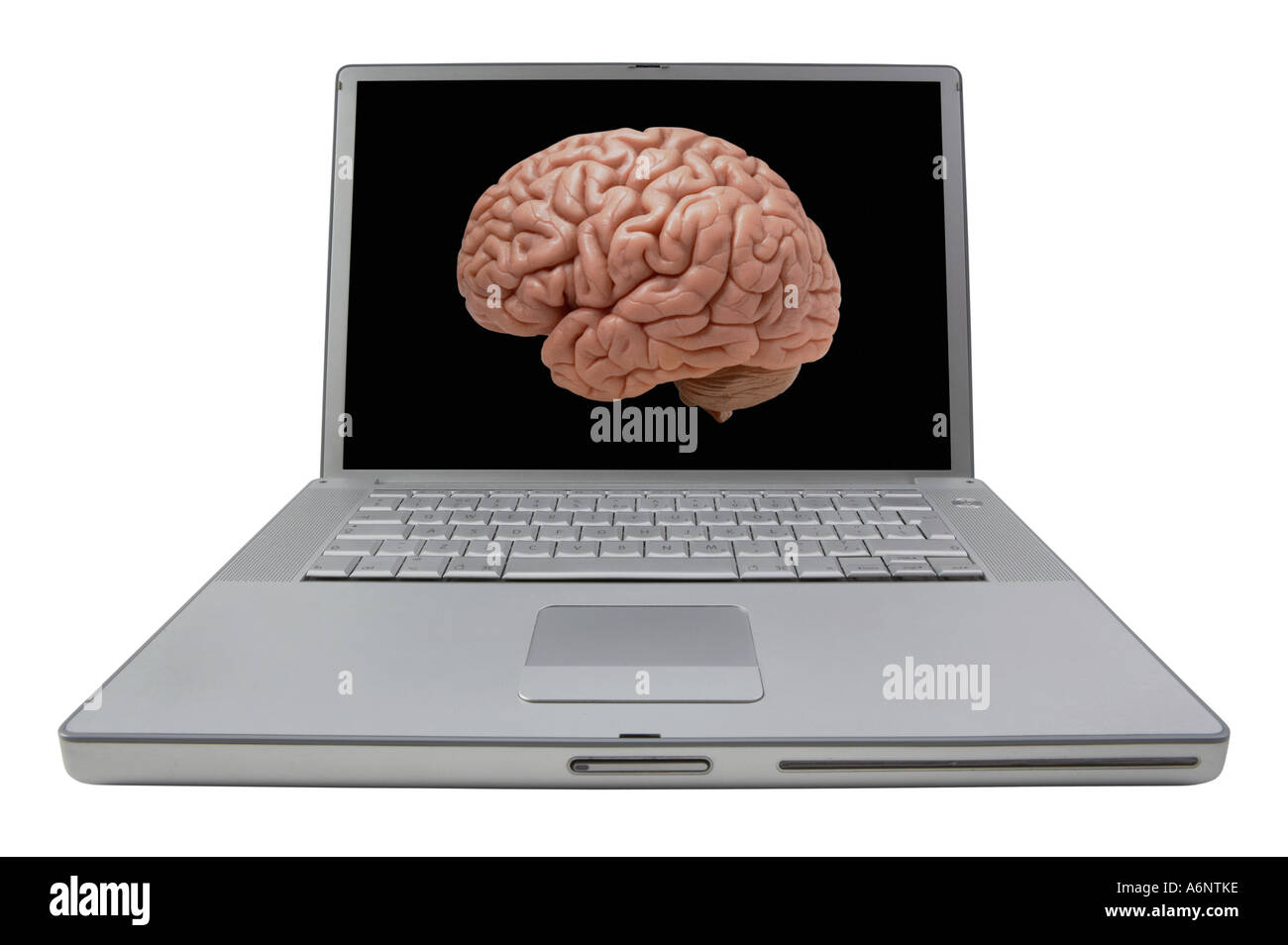 LAP TOP NOTE BOOK COMPUTER DISPLAYING IMAGE OF HUMAN BRAIN ON SCREEN ...