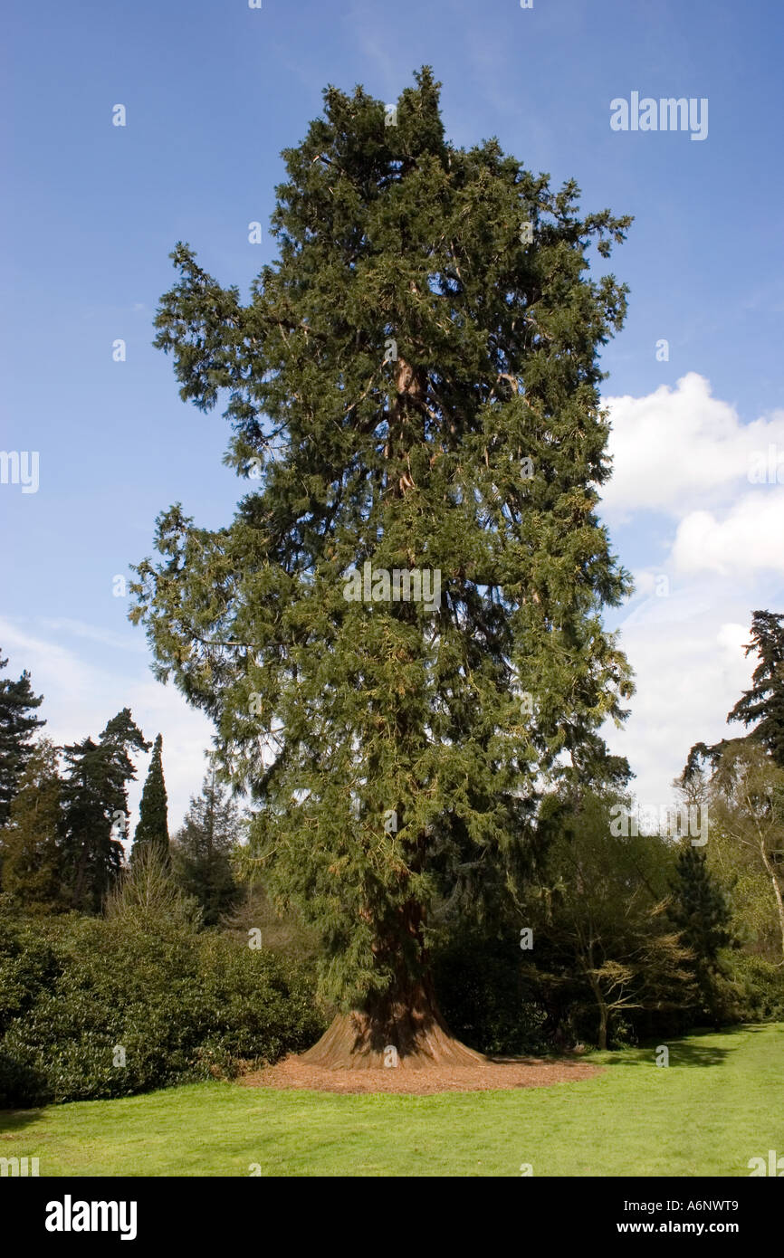 Harcourt garden hi-res stock photography and images - Alamy