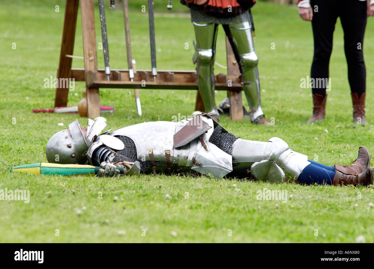 Medieval knight in a field hi-res stock photography and images - Alamy