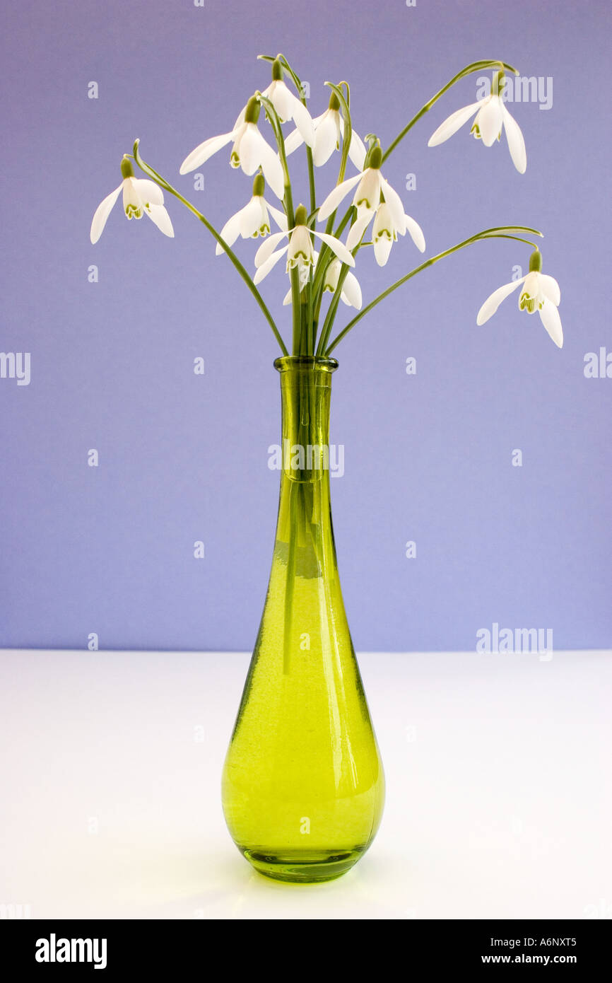 Snowdrops in Green Glass Vase Stock Photo - Alamy