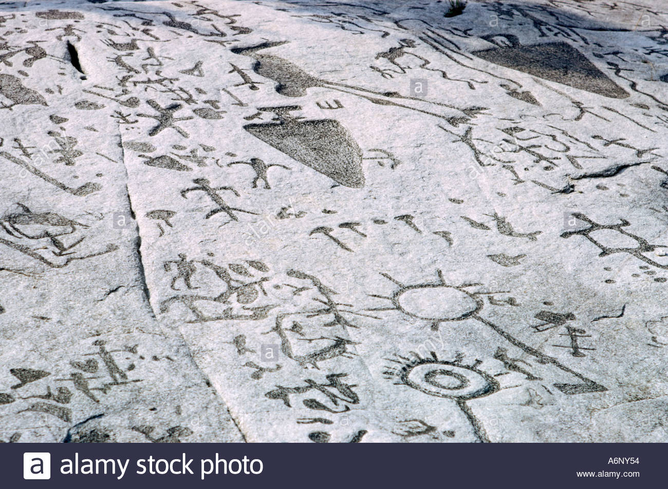 Aboriginal carved petroglyphs at Petroglyphs Provincial park near Stock ...