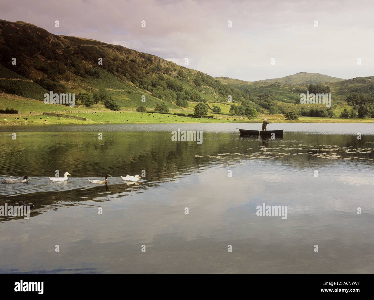 Fishing cumbria hi-res stock photography and images - Alamy