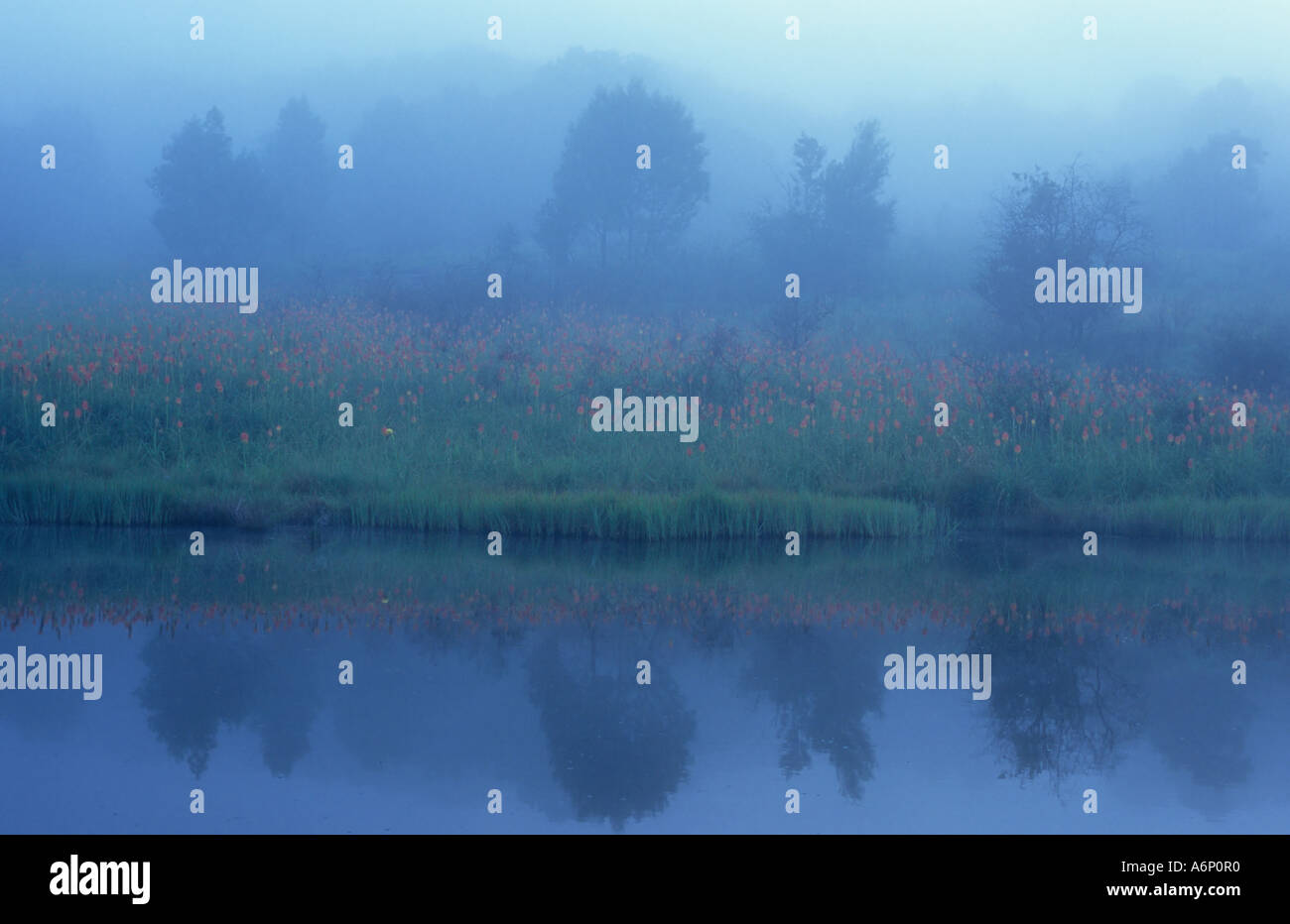 Reflection on water at Fort Fordyce Nature Reserve in the Eastern Cape ...