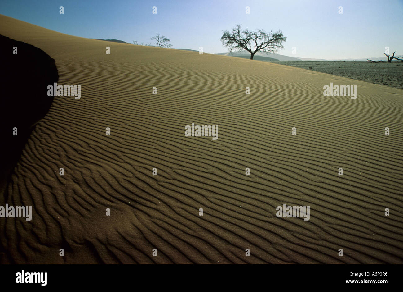 Dune 45 in Sossuslei, Namibia, Africa Stock Photo - Alamy