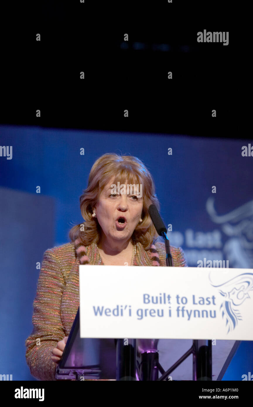 Cheryl Gillan MP, Welsh Secretary Stock Photo - Alamy