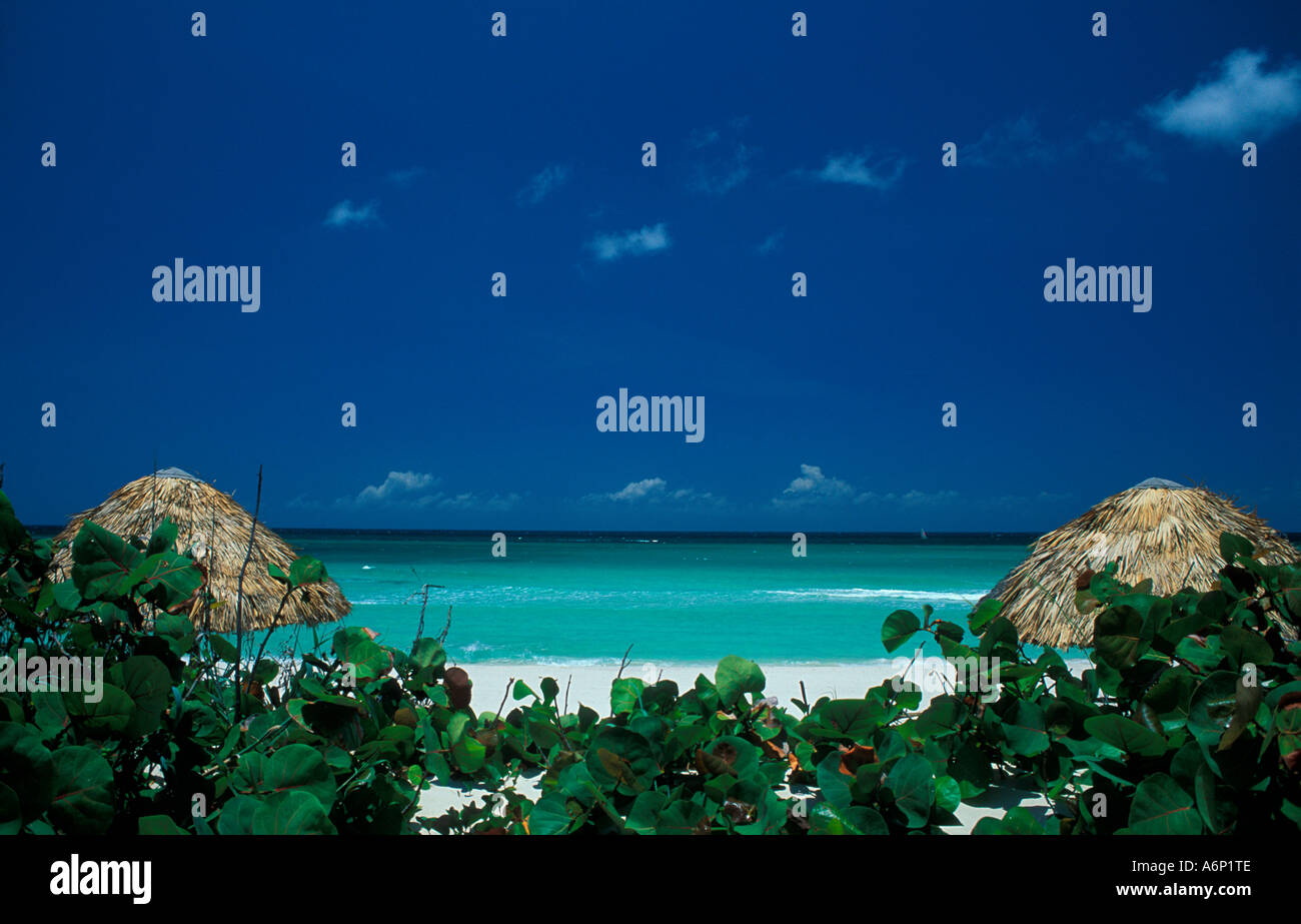 Sea sand thatch huts Vavadero beach Cuba Stock Photo - Alamy