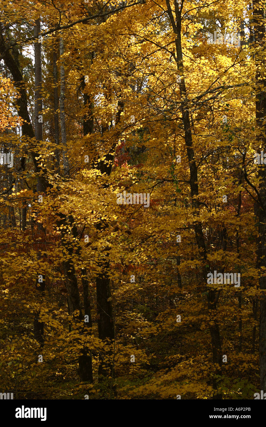 Nashville park trail hi-res stock photography and images - Alamy