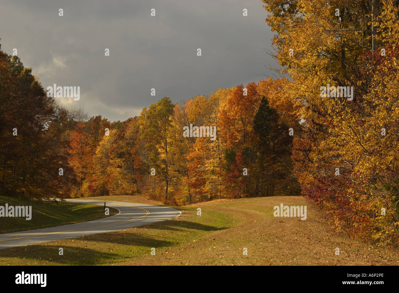 Fall trees along the Natchez Trace parkway just south of Nashville ...