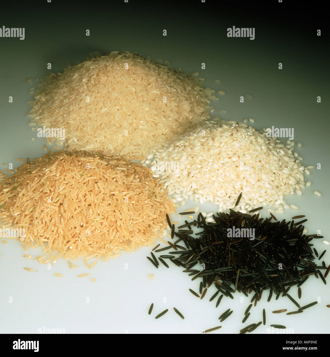 Arborio rice oryza sativa hi-res stock photography and images - Alamy