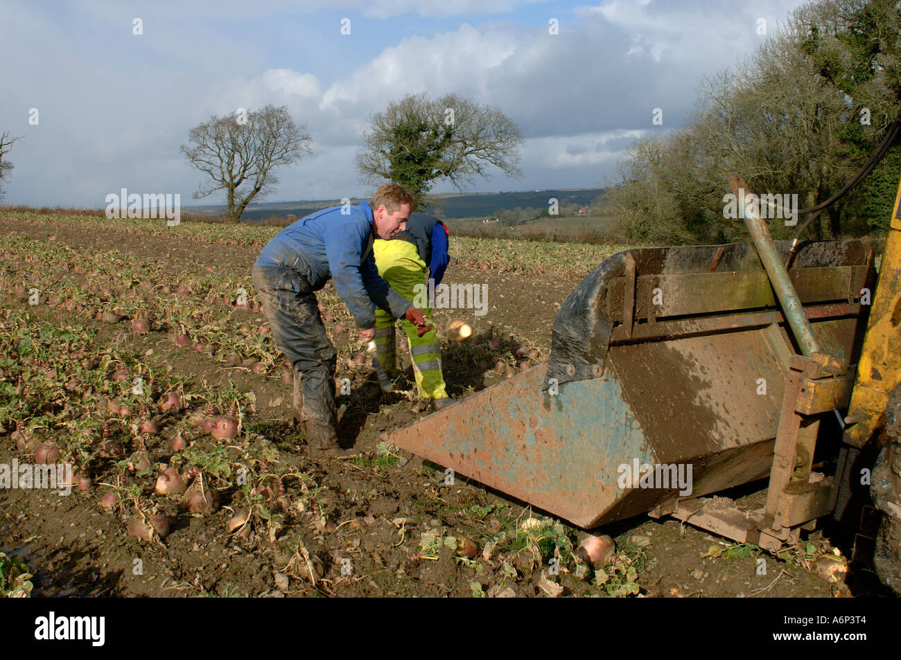 Swedish farmers hi-res stock photography and images - Alamy