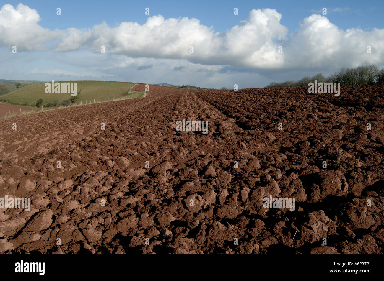 Red soil devon hi-res stock photography and images - Alamy