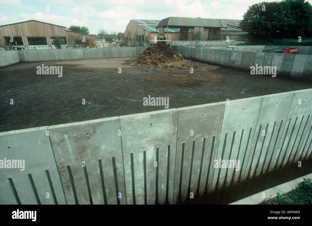 Slurry lagoon with weeping wall management system in farmyard Stock ...