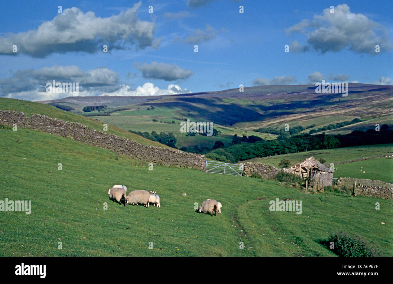 Littledale in Bowland Stock Photo - Alamy