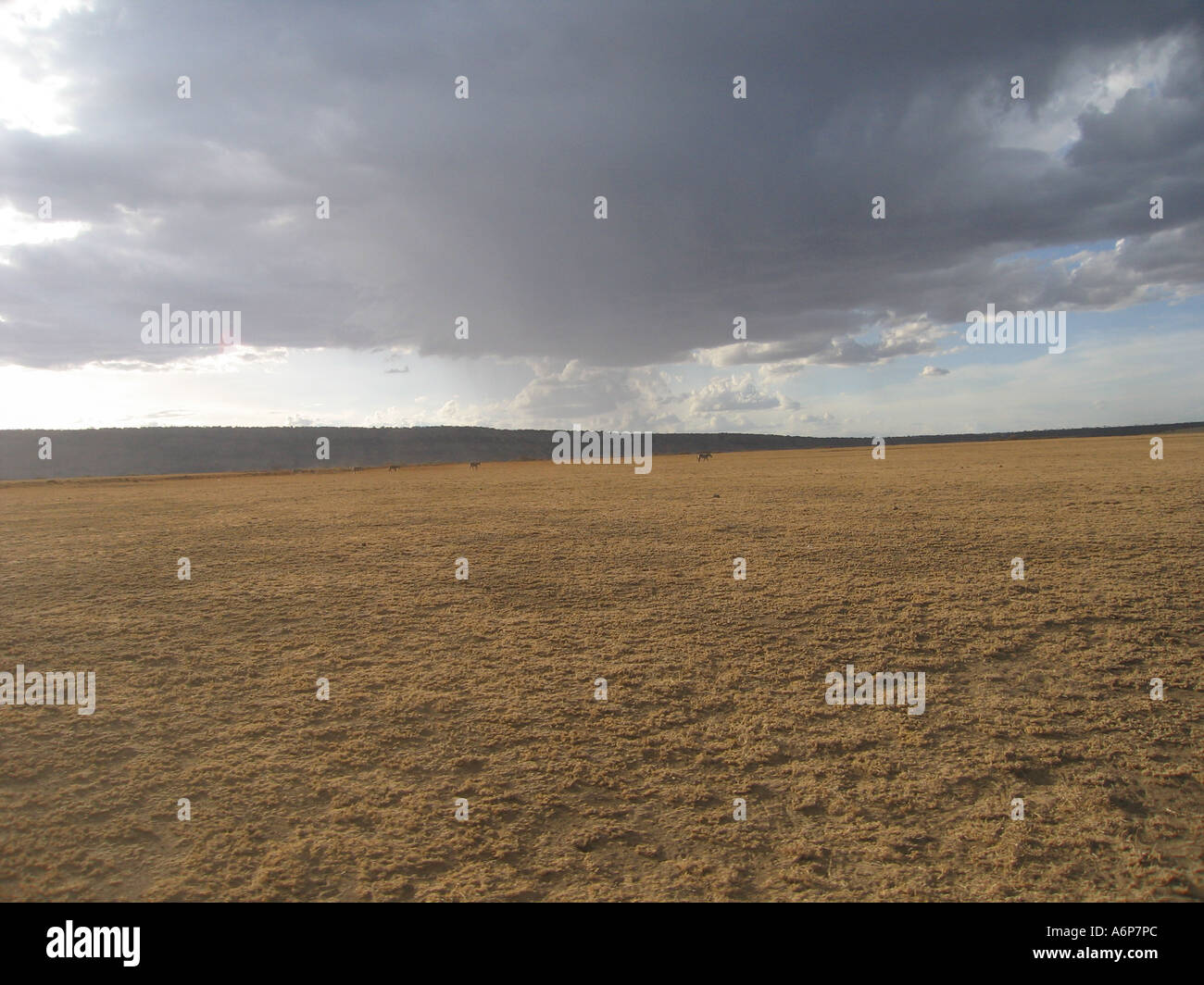 Malambo district in the Ngorongoro Crater of Tanzania Stock Photo - Alamy