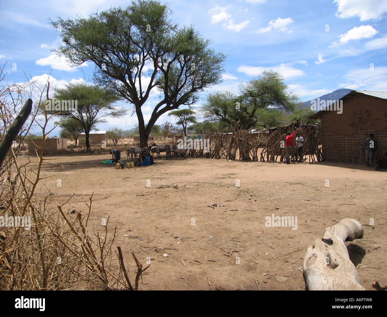 Malambo hi-res stock photography and images - Alamy