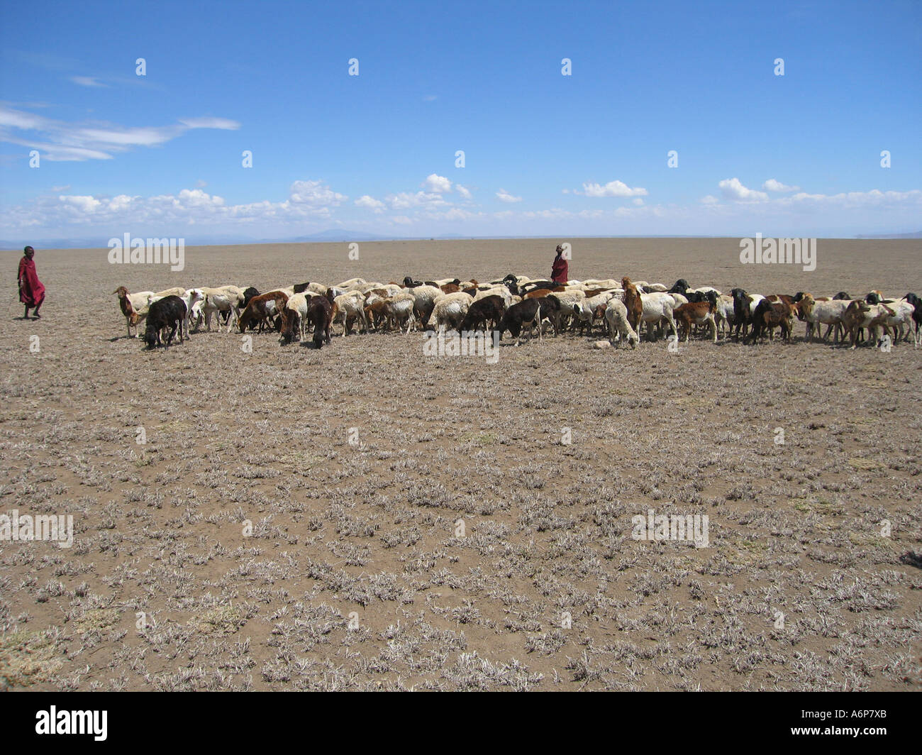 Malambo district in the Ngorongoro Crater of Tanzania. Landscape with ...