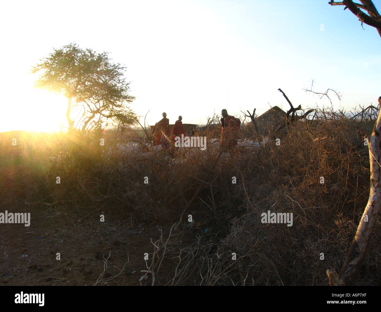 Malambo district in the Ngorongoro Crater of Tanzania. Landscape with ...