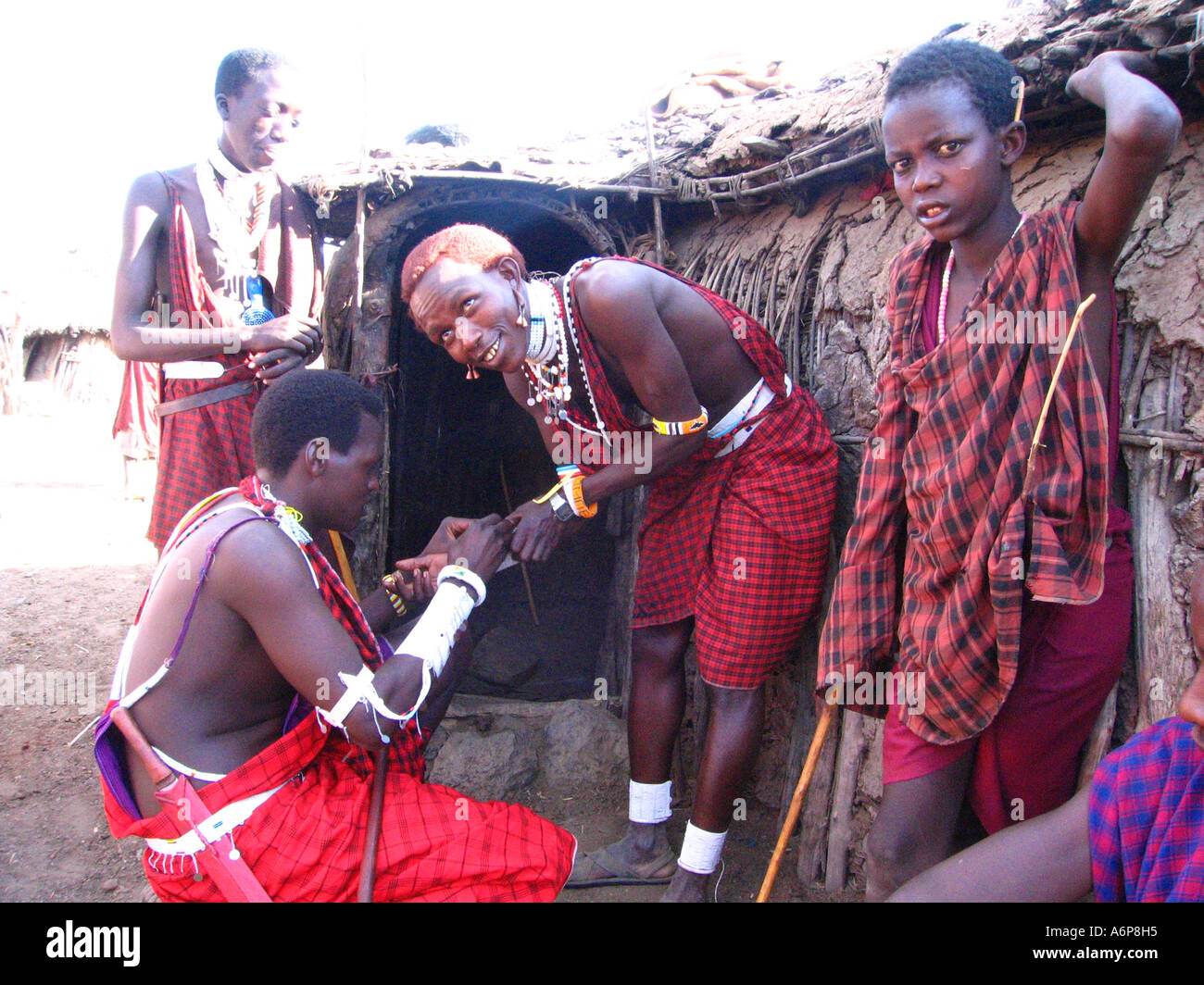 Malambo district in the Ngorongoro Crater of Tanzania, Africa. Young ...