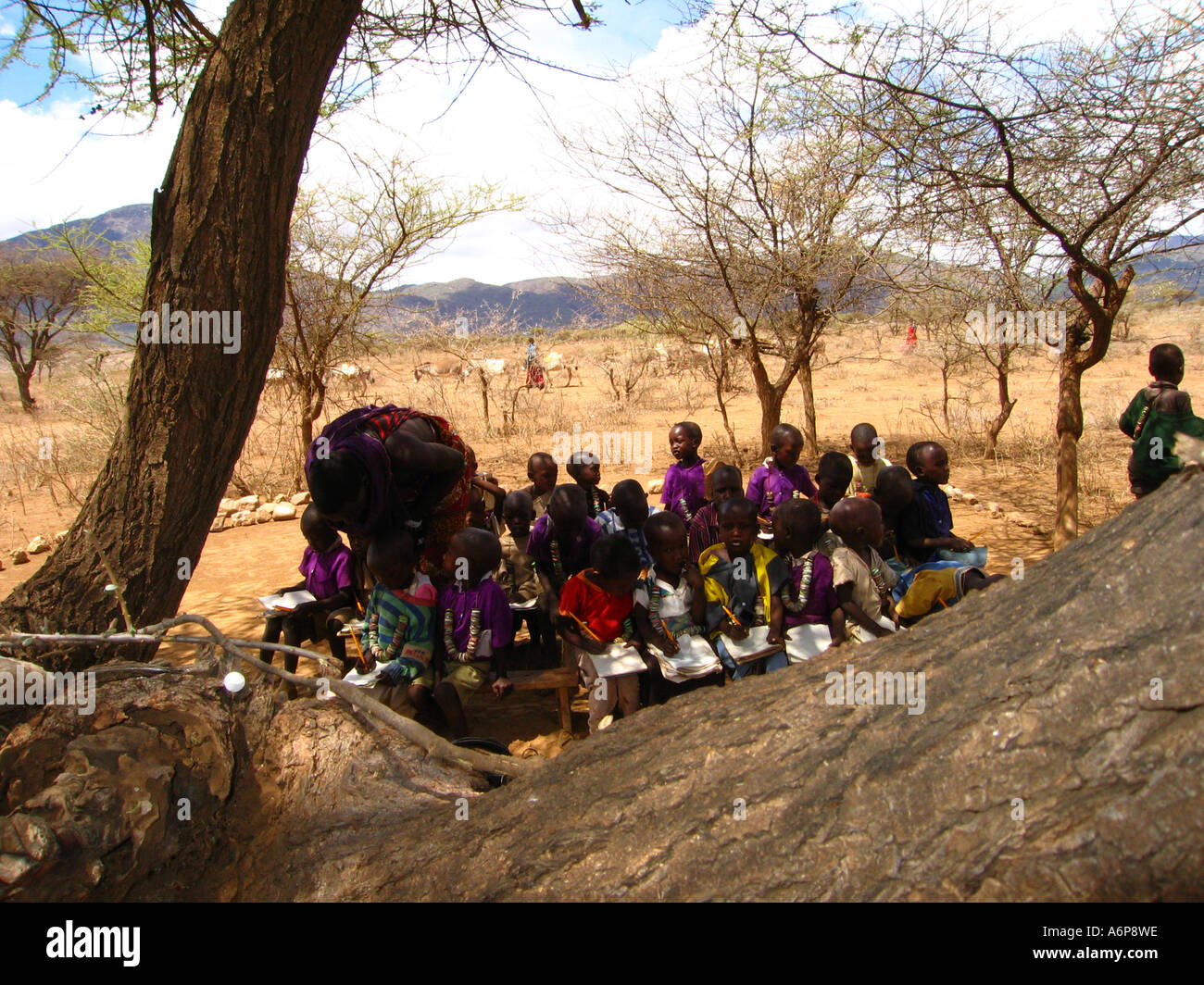 Maasai classroom under a tree Stock Photo - Alamy