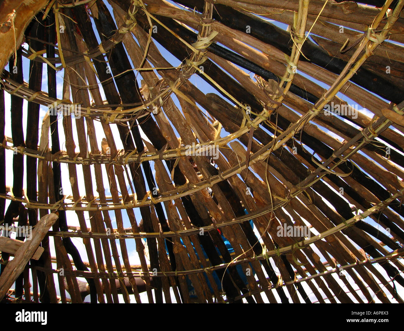 Maasai lady building a traditional home Stock Photo - Alamy