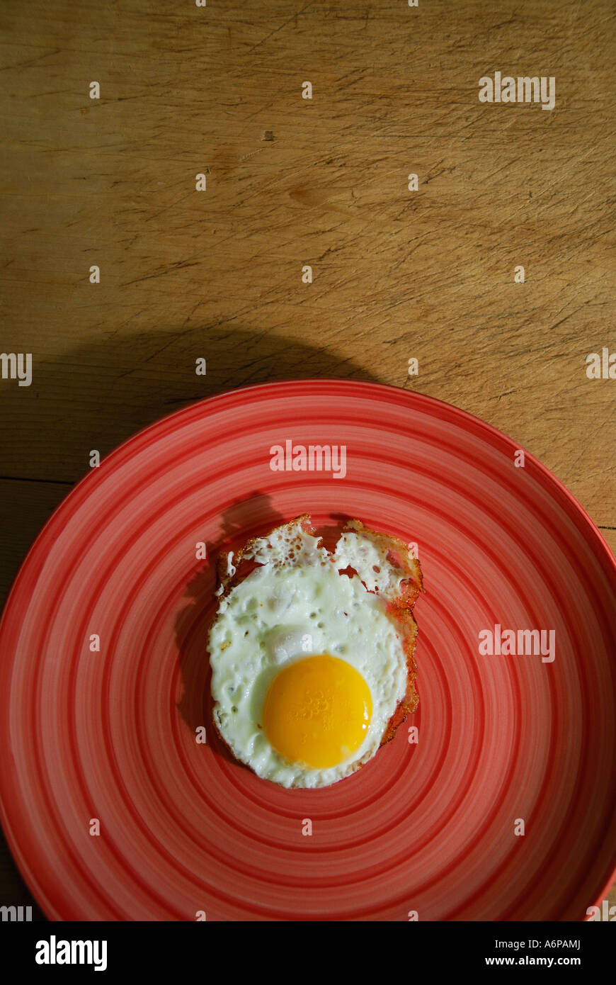 "One fried egg on red plate Stock Photo - Alamy