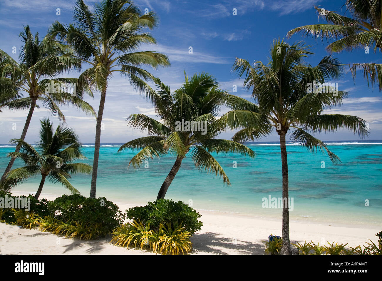 Beach, Cook Islands Stock Photo - Alamy
