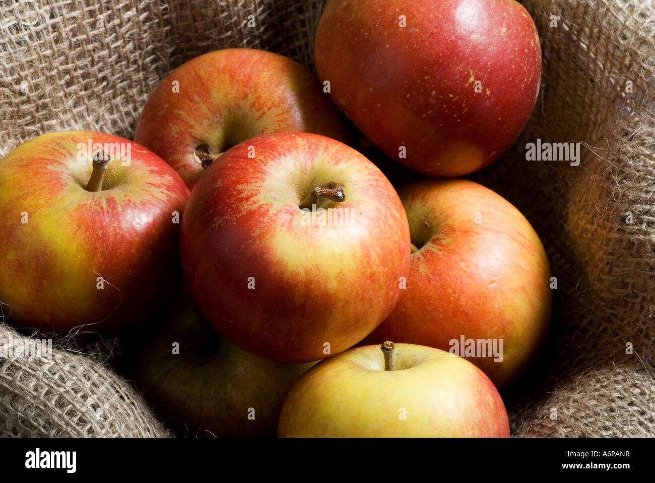 A group of apples Stock Photo - Alamy