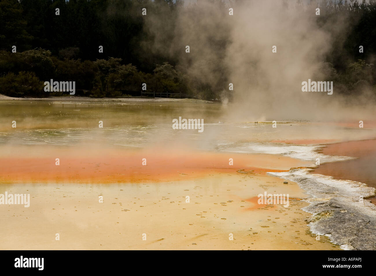 Hot Springs, New Zealand Stock Photo - Alamy